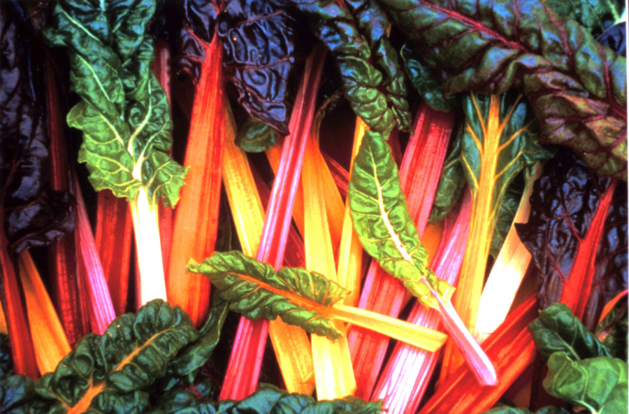 Sauteed Rainbow Chard with a Spicy Kick - Patricia Eales Nutrition